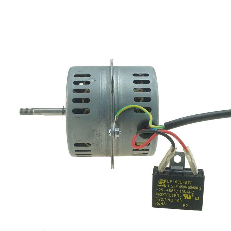 Fog Wind PSC Motor